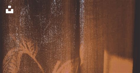 식물이 있는 커튼 클로즈업 사진 Unsplash의 무료 인도 이미지