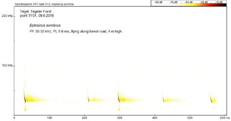 Figure A3 12 Sonar Pulses Of Eptesicus Serotinus Flying Relatively