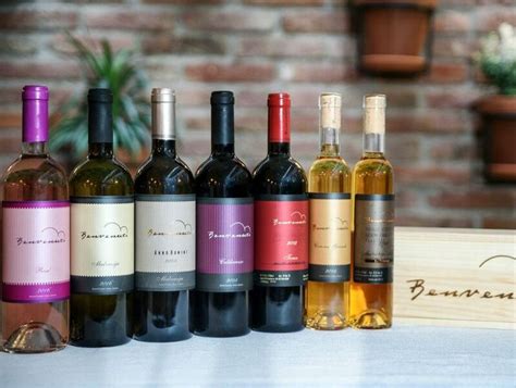 Винарија Бенвенути сместена во мирниот истарски град Калдир Хрватска вработува кандидати од