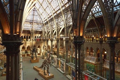 Museum Of Natural History Oxford