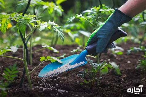 ویژگی‌های خاک روف گاردن مناسب و مشخصات و قیمت تهیه آن