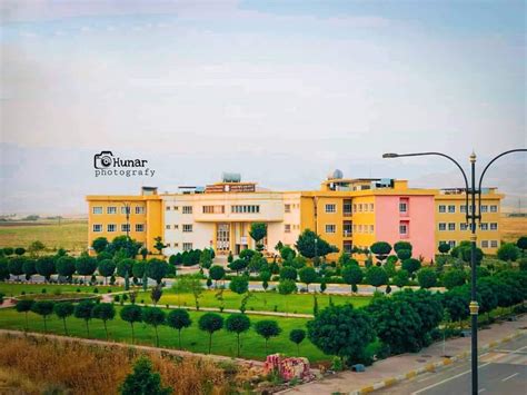 ئامادەکردنی خواردن بۆخوێندکاران داخیلییەکانی زانکۆی کۆیە