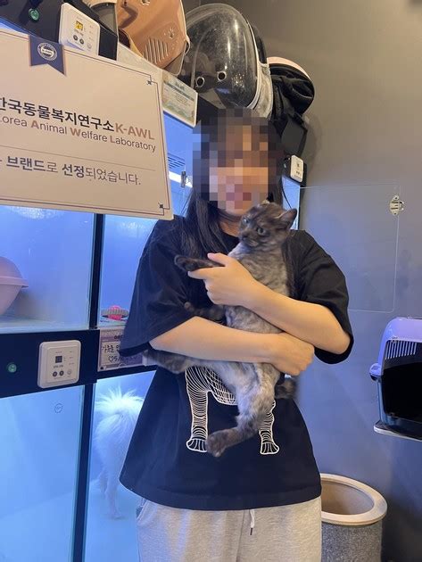 믹스묘 밍크 비숑프리제무료입양사이트 포메라니안무료입양사이트 말티즈무료입양사이트 말티푸무료입양사이트 푸들무료입양사이트 먼치킨무료입양사이트 랙돌무료입양사이트 브리티쉬숏헤어무료