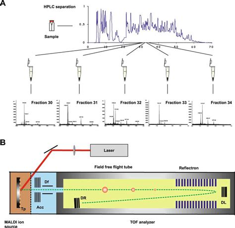 2 Overview Of The Off Line Hplcmaldi Tof Ms Workflow A The Peptide