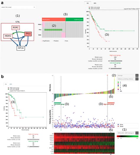 Patient Stratification And Survival Analysis A Patient Grouping By Download Scientific Diagram