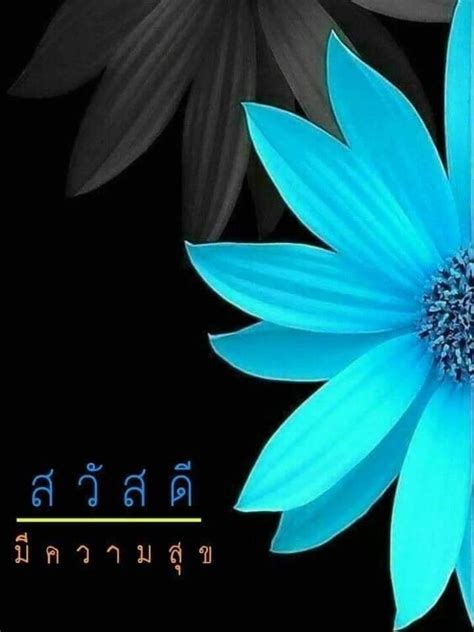 ปักพินโดย Nonmai Ka Baimon ใน Hello O ทักทายสวัสดี สุขสันต์วันศุกร์ สวัสดีตอนเช้า อรุณสวัสดิ์