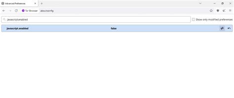 How To Disable JavaScript In Tor Easy Methods HiddenWiki