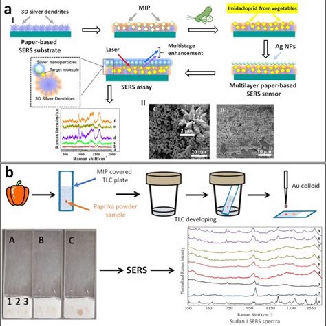 Scheme 5 A Multilayer Paper Sers Chemosensor Based On Star Shaped Download Scientific