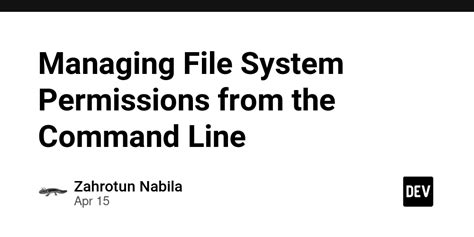 managing file system permissions from the command line dev community