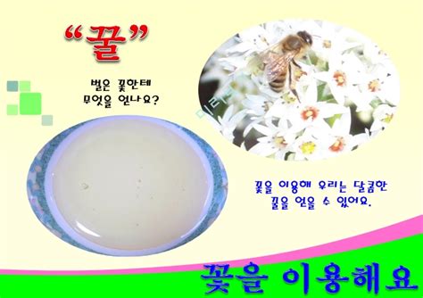 A자료 꽃을 이용해요음성녹음 이야기나누기 상호작용 관련 레포트자료