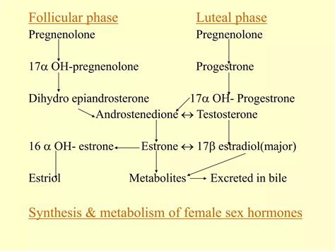 Female Sex Hormones Ppt