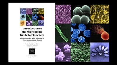 Introduction To The Microbiome Guide For Teachers Science Education Partnership Award