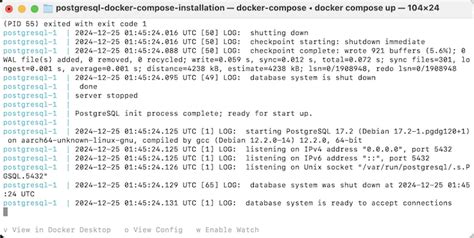 Cài đặt Postgresql Server Sử Dụng Docker Hướng Dẫn Java