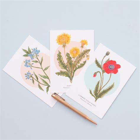 British Wild Flower Notelets Pack Of 8 Little Paisley Designs