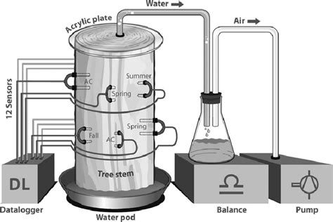 Schematic Diagram Of The Sap Flux Calibration System Used In The