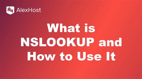 What Is Nslookup And How To Use It ⋆ Alexhost Srl