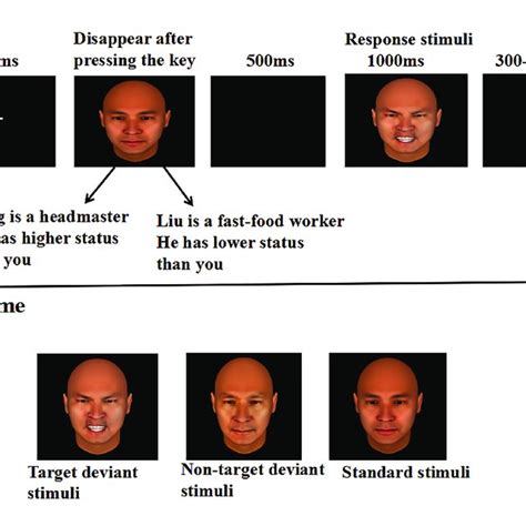 A Sequence Of Events In A Representative Trial Of The Experiment