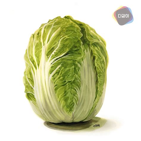 구도에 있는 이서진님의 핀 2020이미지 포함 잎 그림 과일 그림 채소