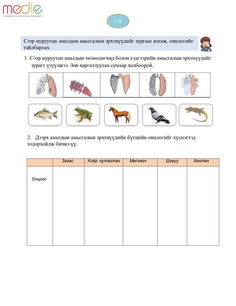 Worksheetstudent200002440655645