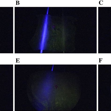 Evaluation Of The Impact Of Shielding Materials In Fluorescence