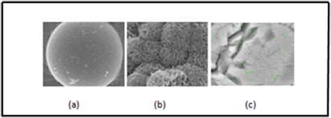 Preparation And Application Of Foamed Ceramic Panels In Interior Design