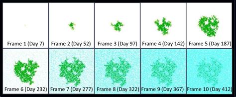Monte Carlo Run Snapshots See Text For More Details Download Scientific Diagram