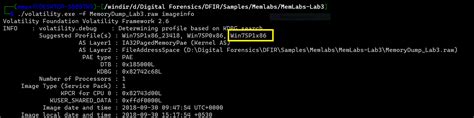 memlabs writeup lab 3 the evil s den easy medium mmox blog