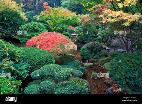 Small Stream And Fall Color Japanese Gardens Portland Oregon Stock