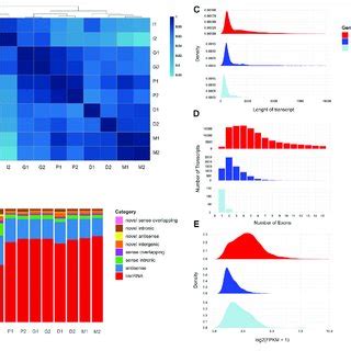 Comparison Of The Coding And Non Coding Transcriptome Profiles Of The Download Scientific