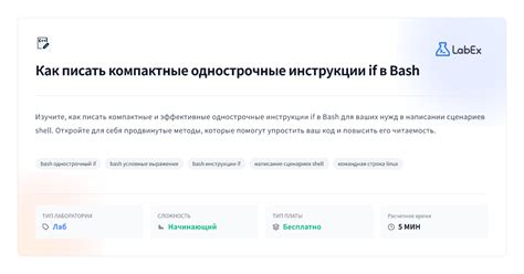 Как писать компактные однострочные инструкции If в Bash Labex