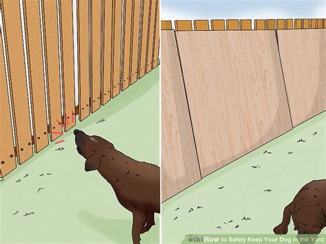 3 Ways To Safely Keep Your Dog In The Yard Wikihow Pet