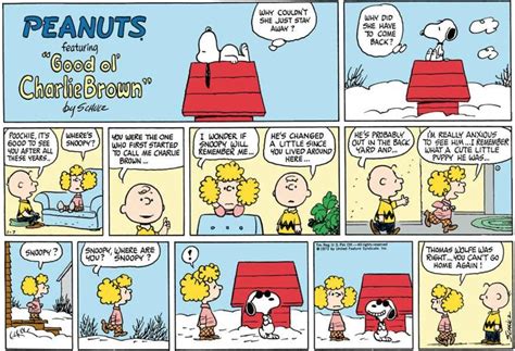 Peanuts Comic Strip