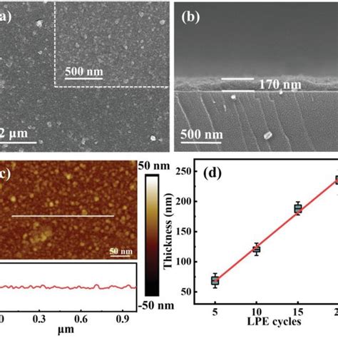 Characterization Of In‐tcpp Surmof A Out‐of‐plane And In‐plane Xrd Download Scientific
