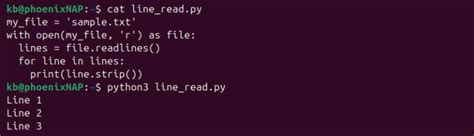 How To Read A File Line By Line In Python Phoenixnap Kb
