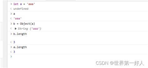 【笔记】什么是js中的包装类型 Csdn博客