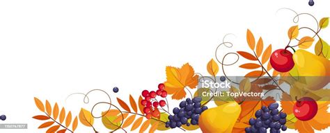 텍스트 밝은가을 과일과 나뭇잎 벡터 일러스트 레이 션 공간을 가진 추수 감사절 배너 0명에 대한 스톡 벡터 아트 및 기타 이미지 0명 10월 가을 Istock