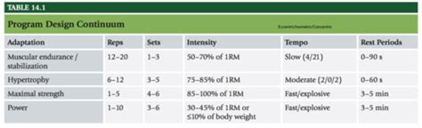 Nasm Opt Workout Template EOUA Blog