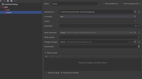 debugging rider npm run configuration failing stack overflow