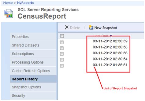 SQLCircuit SSRS How To Create Report Snapshot And How To Utilize It