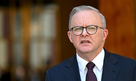 Daniel Piotrowski All Their Latest Coverage Daily Mail Online