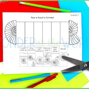 How A Fossil Is Formed Printable Craft Activity And Sequencing Cards PDF Etsy
