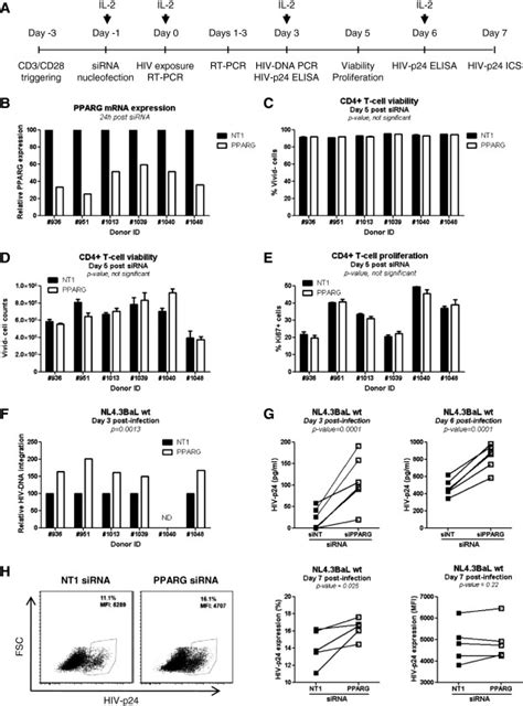 Pparγ Rna Interference Increases Hiv Replication In Memory Cd4 T Download Scientific Diagram