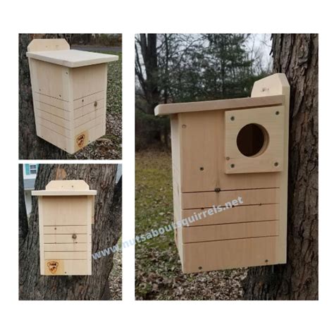Squirrel Nesting Box