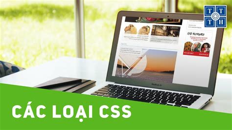 Css Giới Thiệu Các Loại Css Cơ Bản Học Lập Trình Youtube