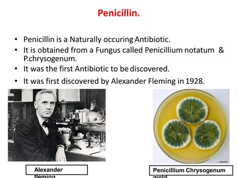 Penicillin Production Fermentation Pdf