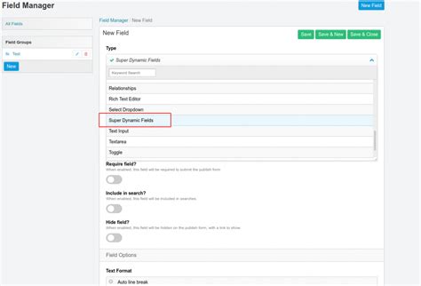 super dynamic fields add ons expressionengine