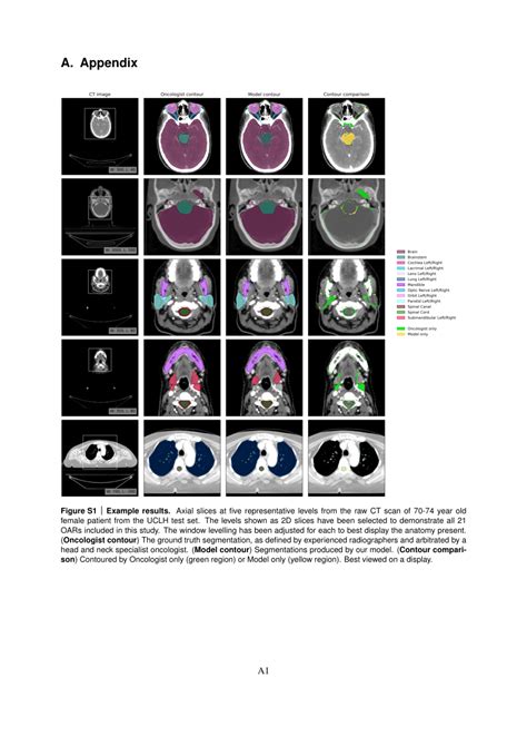 Pdf Clinically Applicable Segmentation Of Head And Neck Anatomy For