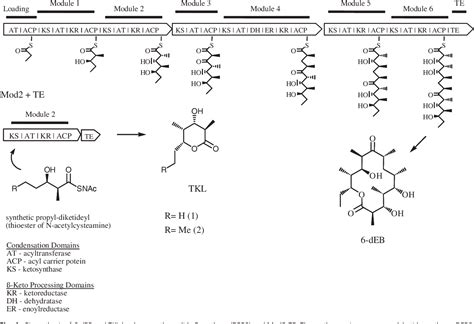 Figure 1 From Metabolic Pathway Engineering For Complex Polyketide Biosynthesis In Saccharomyces