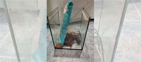 Аквариум и аксессуары купить в Новосибирске | Животные и зоотовары | Авито