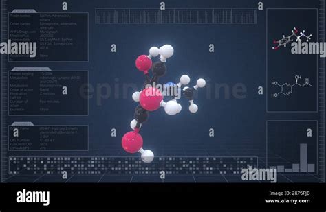 Overview Of The Molecule Of Epinephrine On The Computer Screen